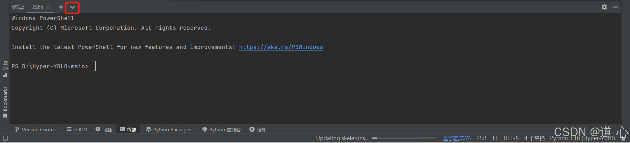 Hyper-YOLO保姆级教程-CSDN博客