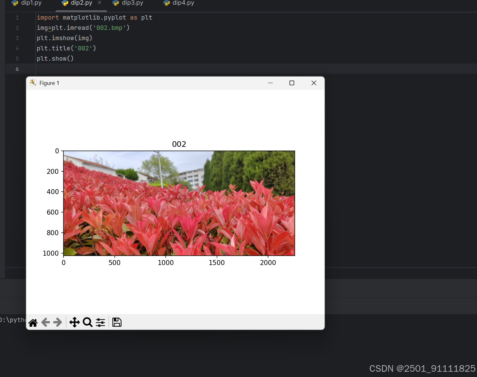 DIP1:用OpenCV和matplotlib读取图像-CSDN博客
