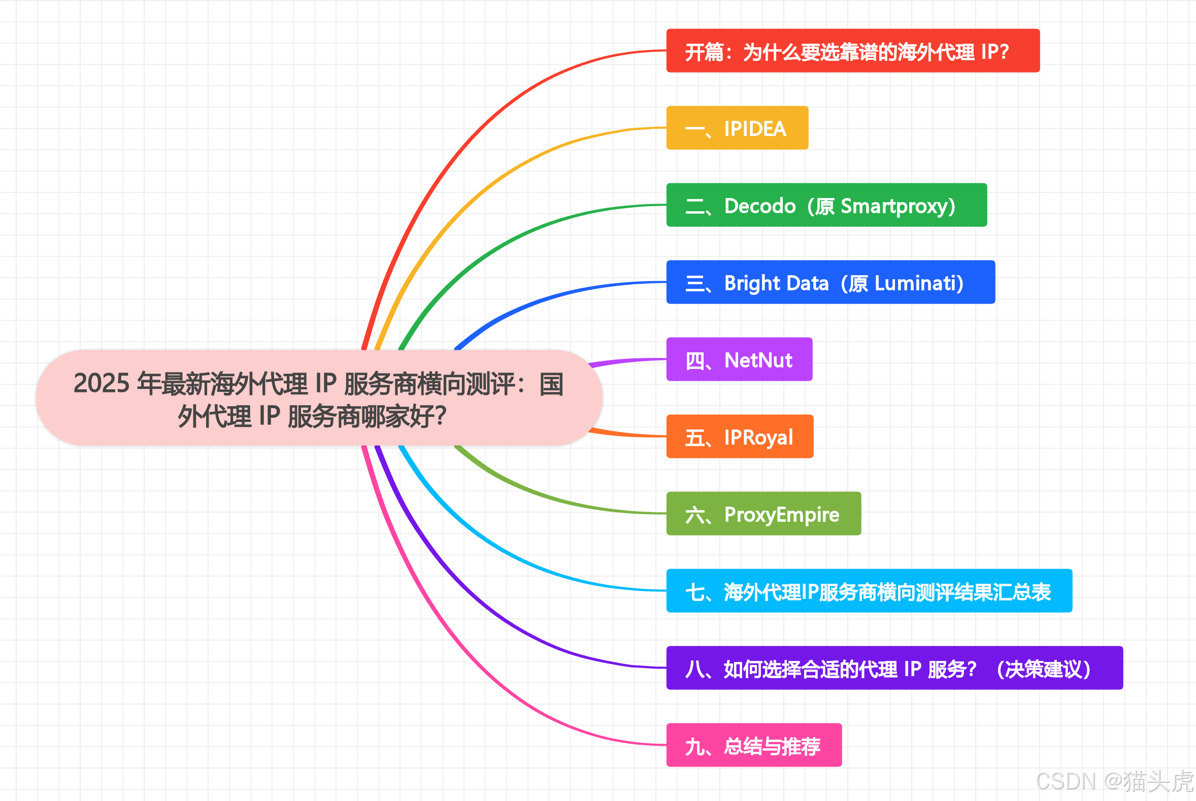 2025年最新海外代理IP服务商横向测评：国外代理IP服务商哪家好？_ipidea怎么样csdn-CSDN博客
