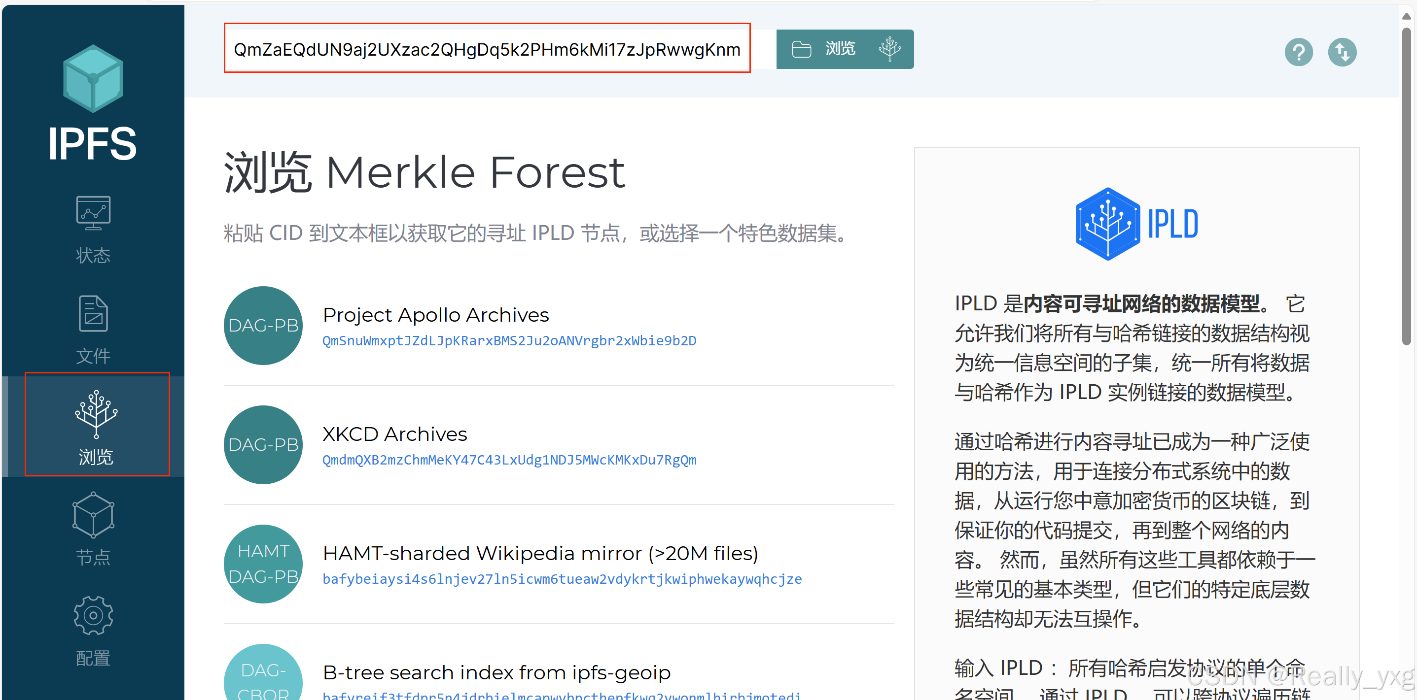 ipfs与go语言实现简单读写和加密上传_an ipfs implementation in go-CSDN博客