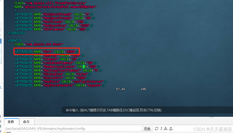 Linux 搭建金蝶中间件AAS-V9 保姆级_金蝶apusic中间件部署-CSDN博客