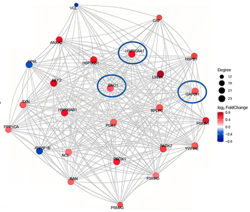 蛋白质组学分析②：从静态到动态！用桑基图& GSEA & Mfuzz & PPI 深挖数据深层机制-CSDN博客