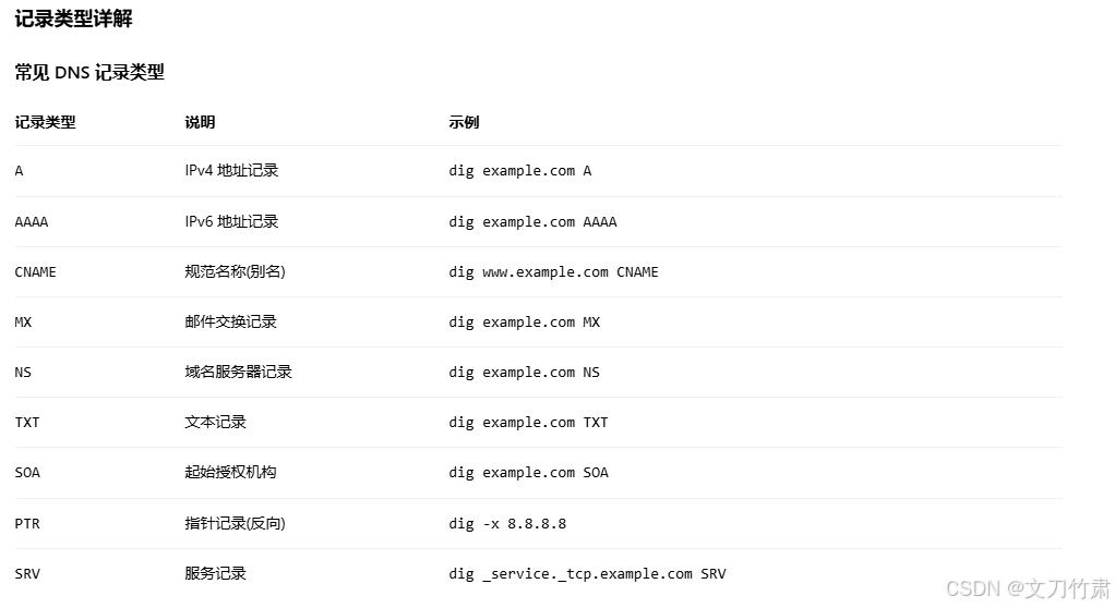 dig (Domain Information Groper) 工具详解_dig命令 反向解析-CSDN博客