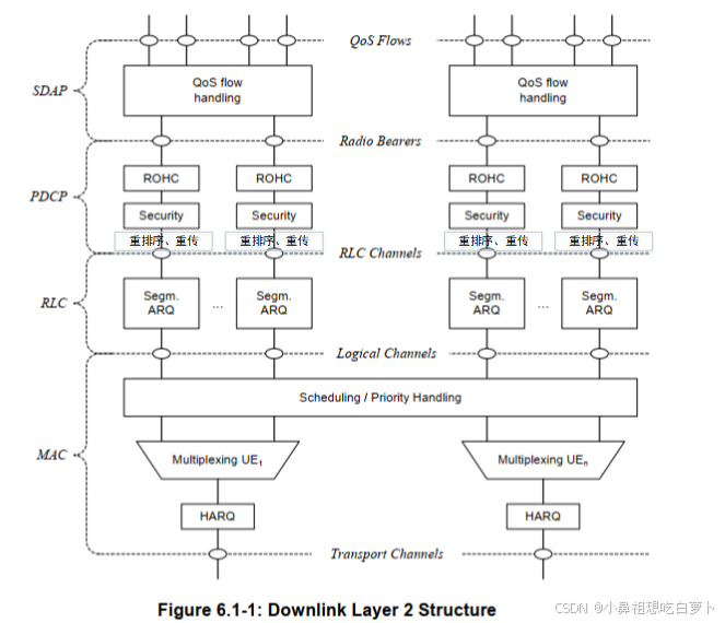 5G学习笔记之L2架构_5g l2-CSDN博客