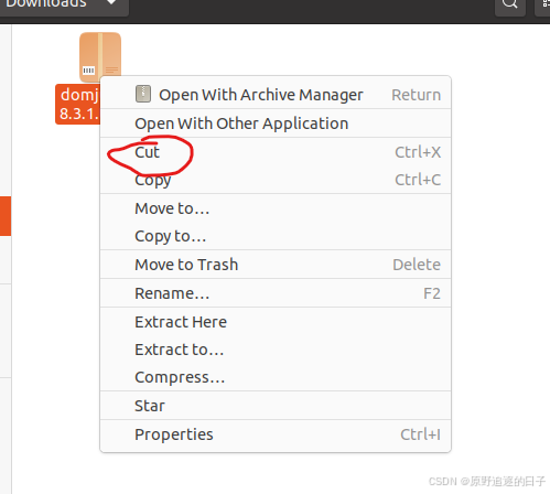 domjudge配置xcpc竞赛！踩坑日记（三种部署方式）-CSDN博客