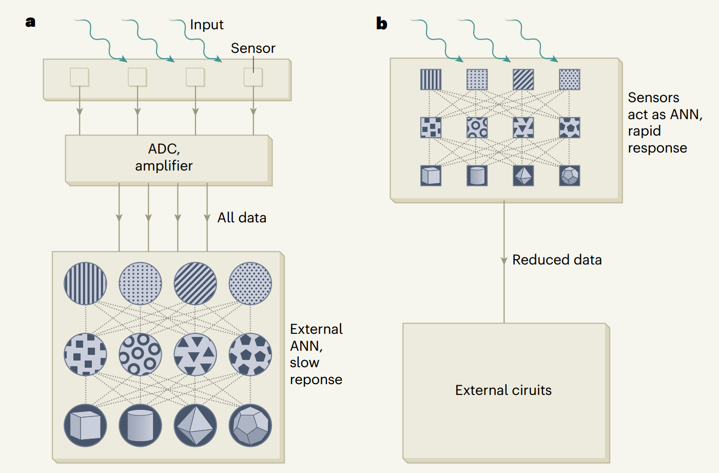 In-sensor Computing:感内计算-CSDN博客