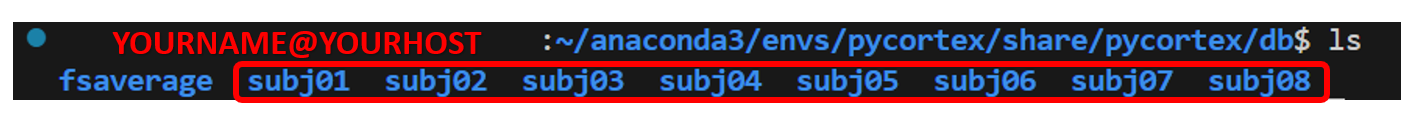 如何对NSD数据集使用Pycortex进行可视化？-CSDN博客