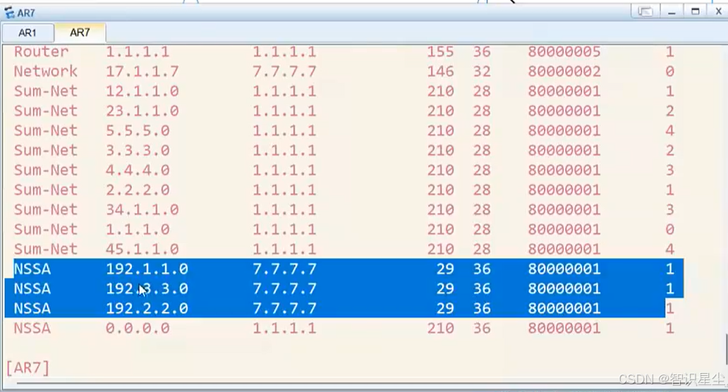 OSPF特殊区域2_ospf other as-CSDN博客