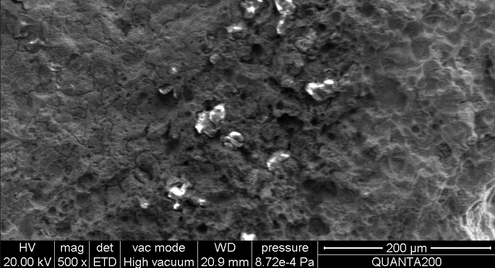 失效分析总结流程（包括python自动切样方案介绍、包含SEM\XRD\EDS\XPS介绍）_xrd失效分析-CSDN博客