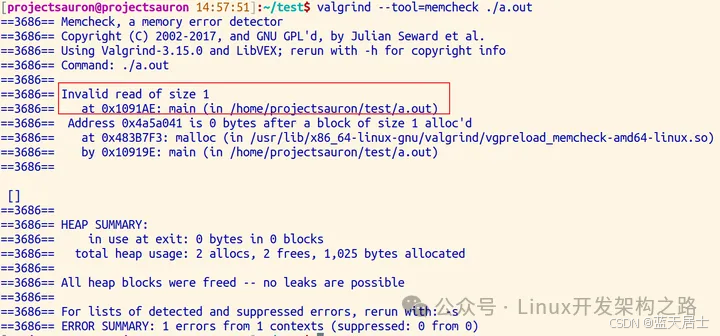 Linux下利用Valgrind进行内存调试（2）-CSDN博客