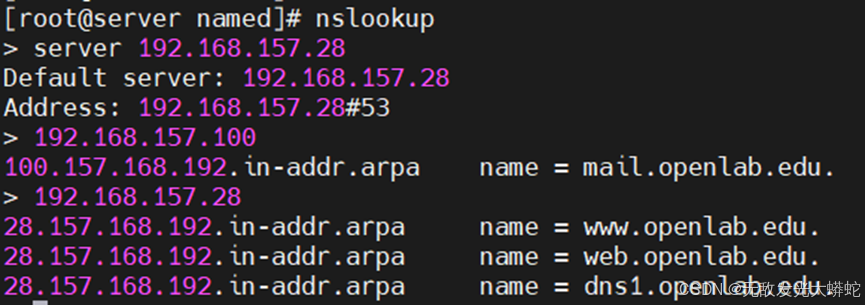 RHCE--dns正反向解析-CSDN博客