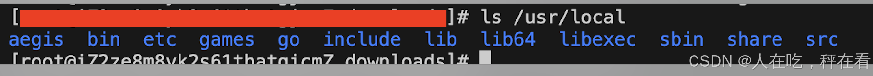 Golang安装使用 Linux系统golang下载 Csdn博客