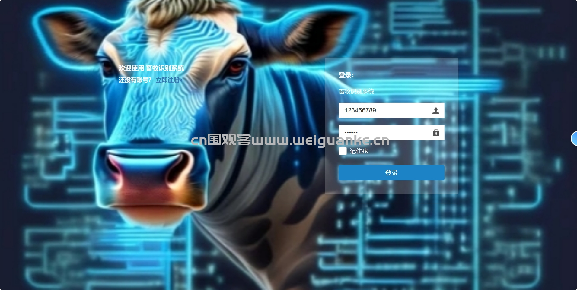 深度学习畜牧识别系统YOLOV8 SVM python_springboot+yolov8-CSDN博客