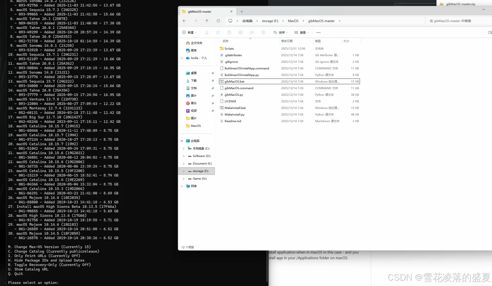 电脑安装黑苹果教程，OpenCore安装MacOS教程(未验证版)_opcore-simplify-main-CSDN博客
