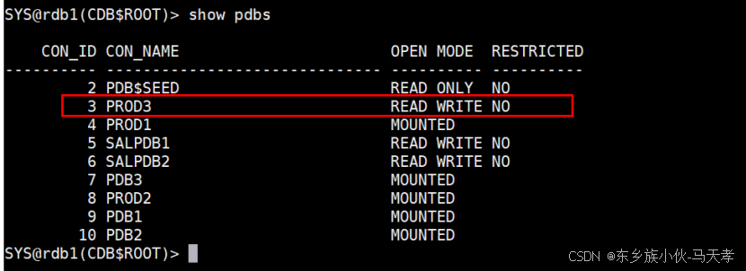 Linux Oracle19c的PDB的迁移（Relocating a PDB ）_oracle pdb迁移-CSDN博客