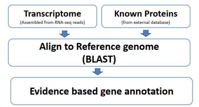 Using MAKER for Genome Annotation-CSDN博客