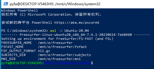 在win10中下载FreeSurfer（Ubuntu20.04）_freesurfer下载-CSDN博客