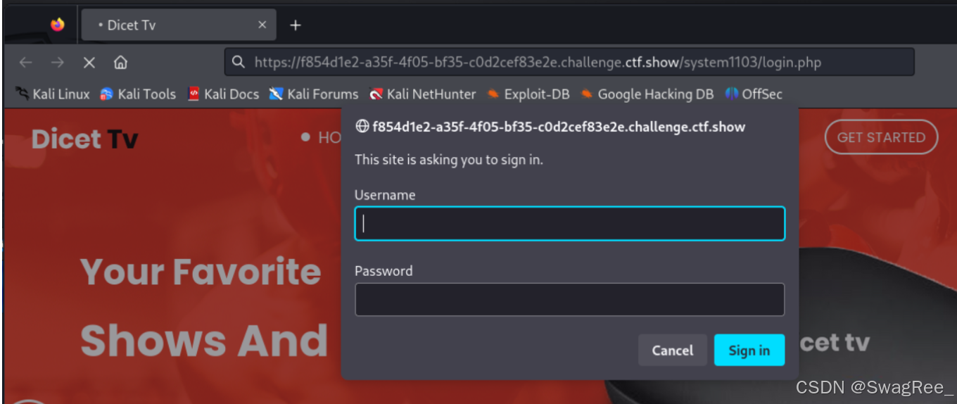 CTFSHOW 信息收集 web入门1-20_ctfshow web入门有必要买吗-CSDN博客