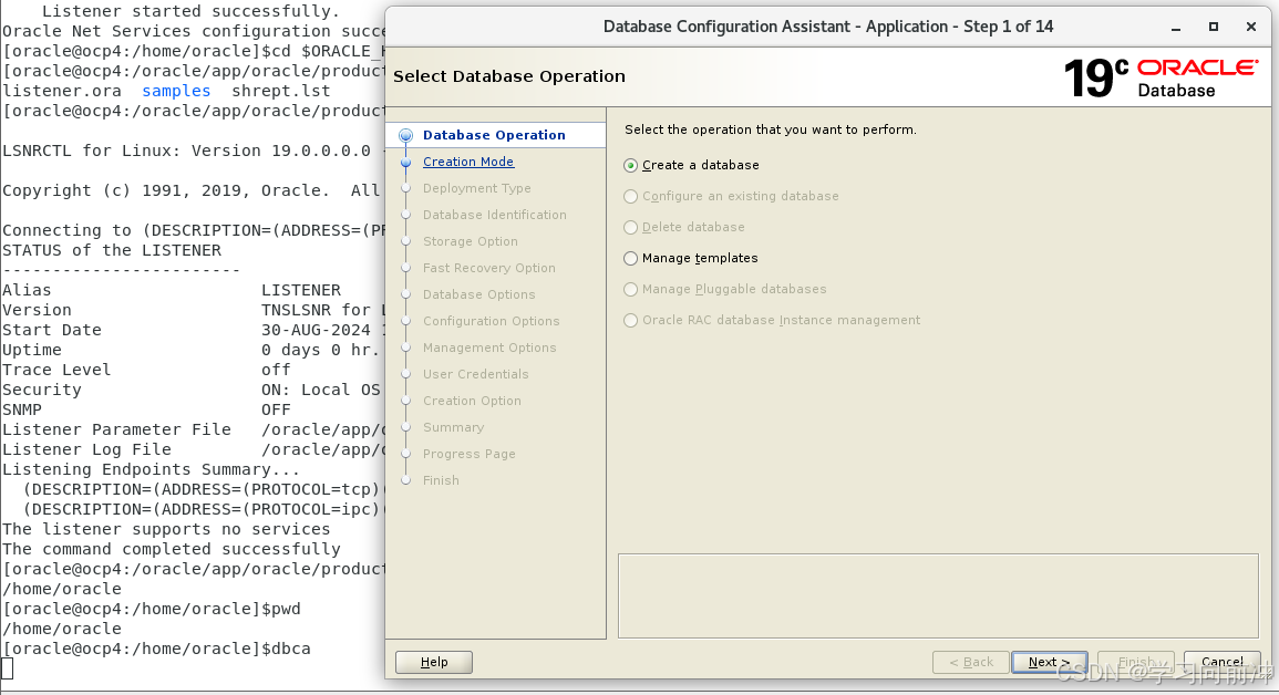 ocp19c 学习第1篇_oracle 19c ocp 教程-CSDN博客