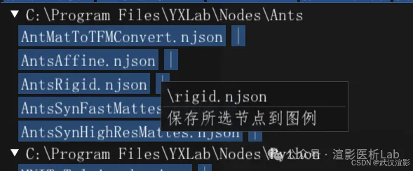 渲影医析Lab实战案例（1）T1图像配准和标准化_如何配准mni和mri t1-CSDN博客