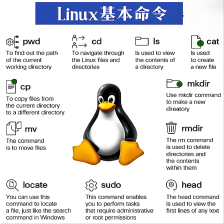 Linux命令大全-unzip命令_linux unzip命令-CSDN博客
