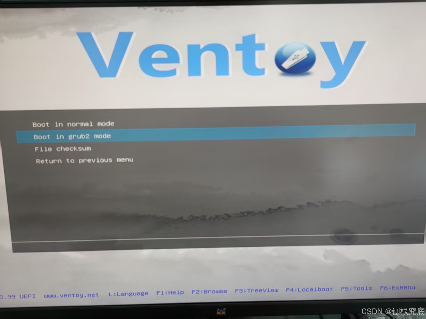 ubuntu系统通过ventoy安装ios镜像_ventoy安装ubuntu-CSDN博客