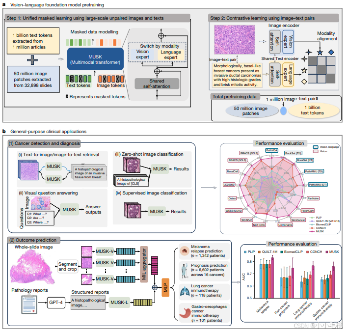 A vision–language foundation model for precision oncology-CSDN博客