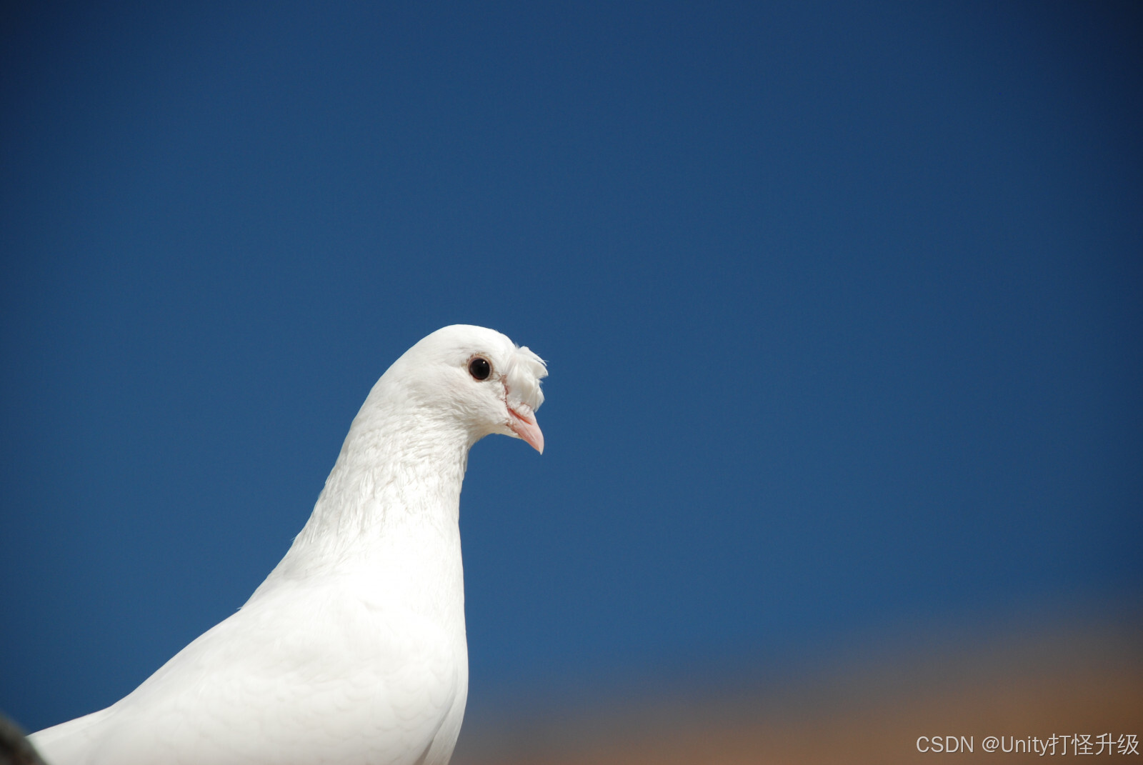 Material Calendar View: 为Android应用增添日历功能_materialcalendarview-CSDN博客