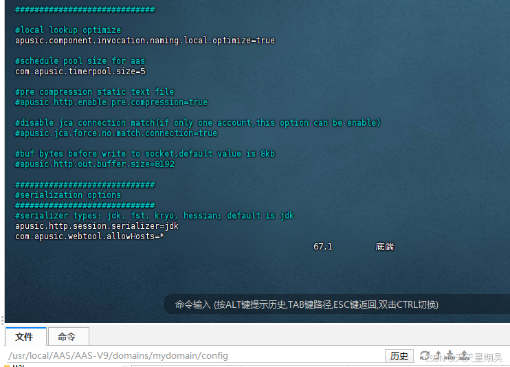 Linux 搭建金蝶中间件AAS-V9 保姆级_金蝶apusic中间件部署-CSDN博客