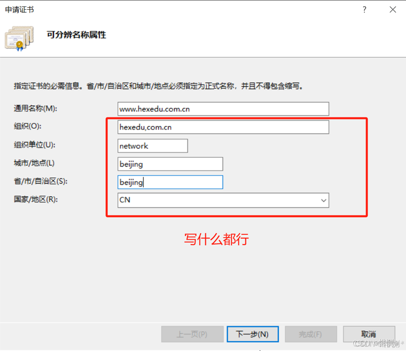 Windows11 IIS+DNS搭建ssl证书网站_win11 ssl证书-CSDN博客