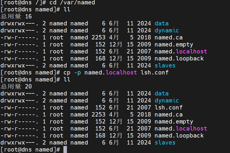 LINUX中DNS服务搭建_linux搭建dns-CSDN博客