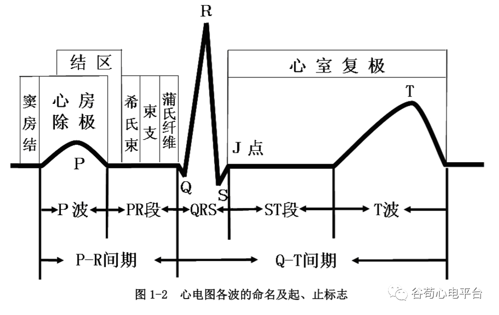 心磁图（MCG）与脑磁图（MEG）概念术语大全-CSDN博客