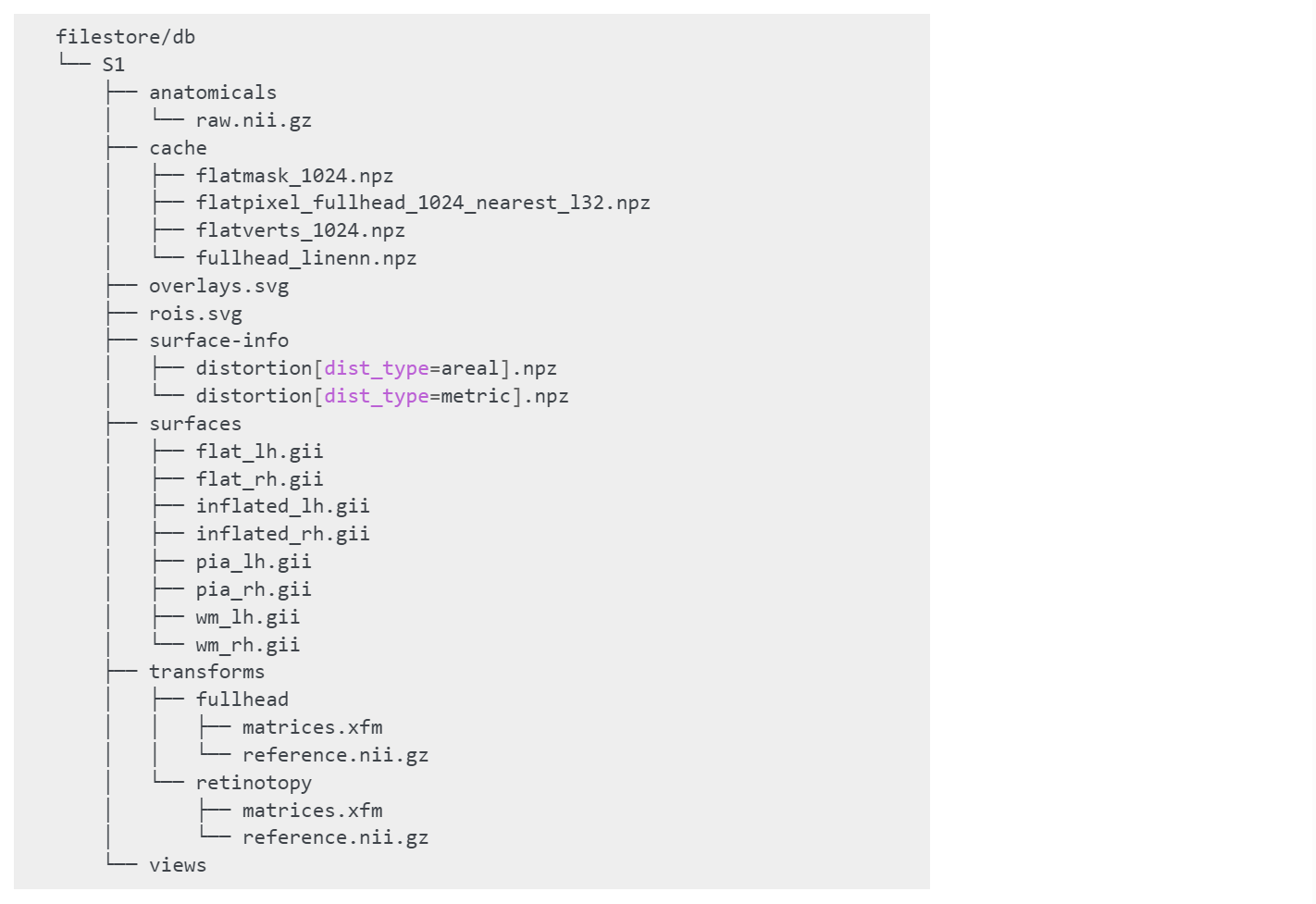 如何对NSD数据集使用Pycortex进行可视化？-CSDN博客