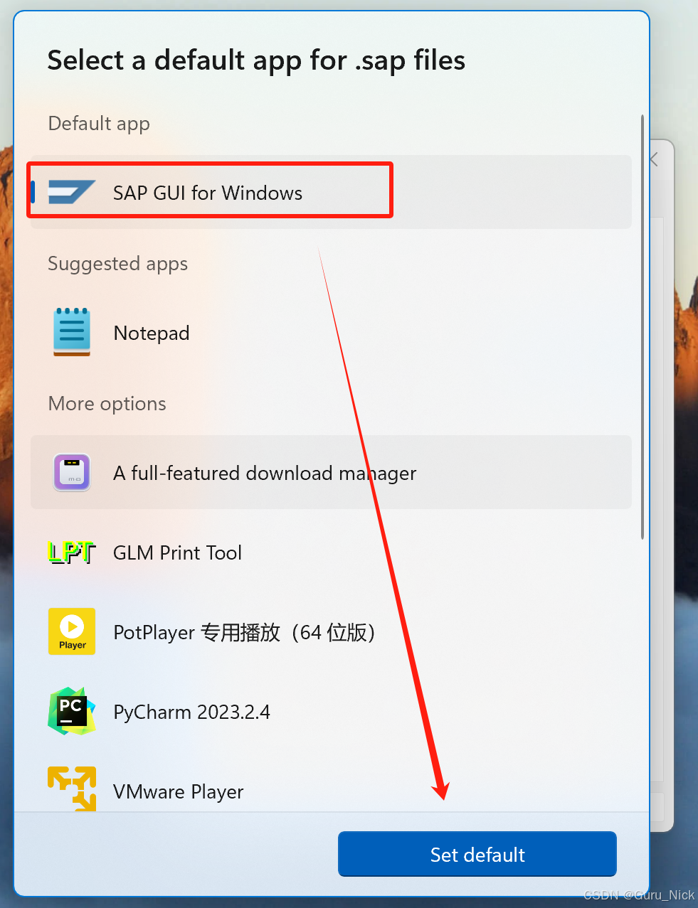 SAP GUI 客户端免密登录教程【适用于760以上版本】_abap gui免密-CSDN博客