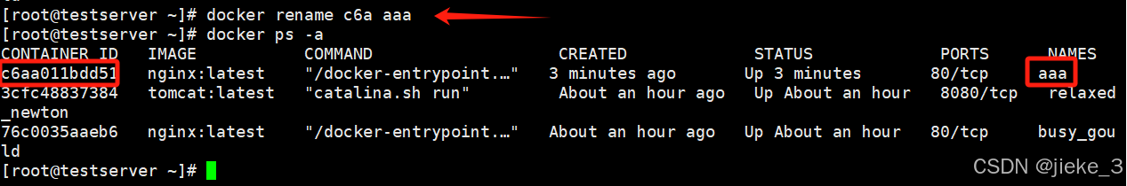 docker容器操作_docker 中添加容器-CSDN博客