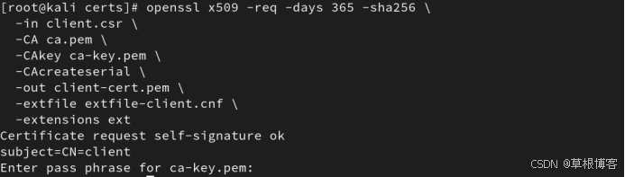 docker的TLS加密传输_docker tls-CSDN博客