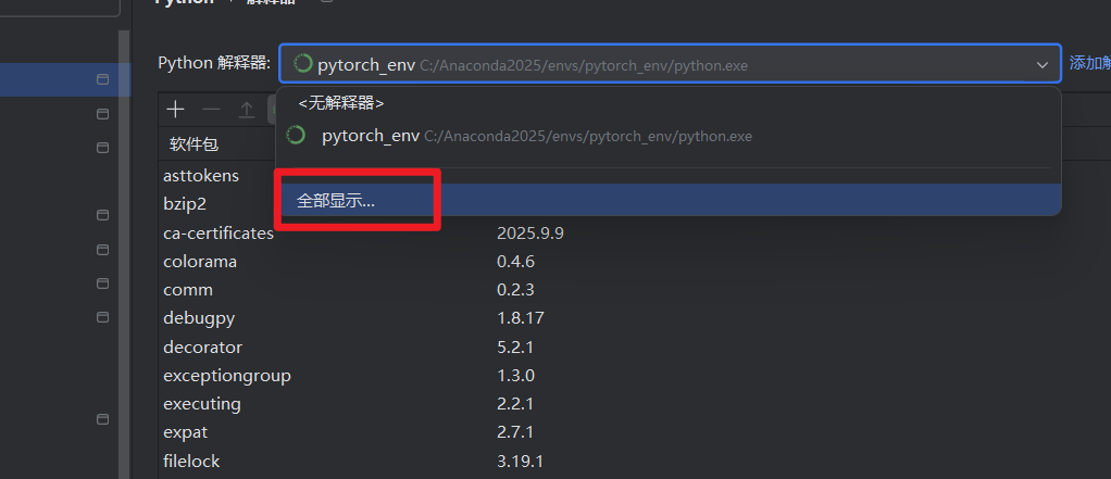 在pycharm中配置pytorch遇到invalid的解决方法-CSDN博客