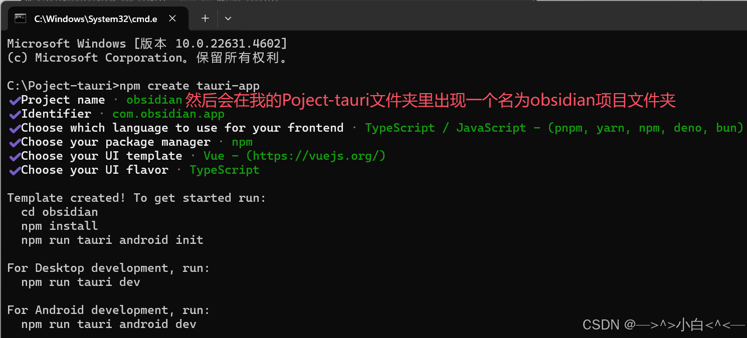 初次构建tauri项目_tauri创建项目-CSDN博客
