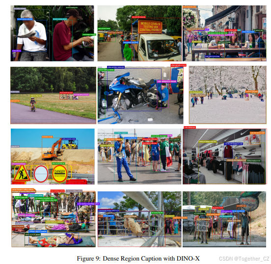 DINO-X:A Unified Vision Model forOpen-World Object Detection and Understanding_面向开放世界目标检测与理解的统一 ...