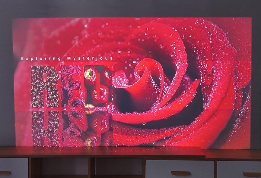 520的浪漫攻略：雷克赛恩 CyberPro1 打造专属二人时光-CSDN博客