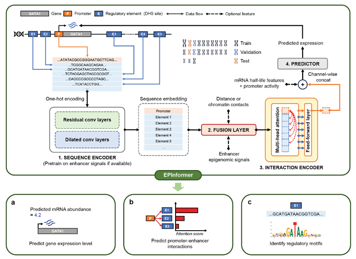 Deep learning+Bioinformatics学习指北-CSDN博客