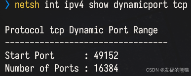 解决Windows端口被随机占用问题_windows动态端口范围-CSDN博客