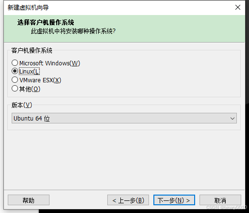 VMware17安装Ubuntu24.04.1及gcc4.8.5_vmware workstation player 17 ubuntu24-CSDN博客