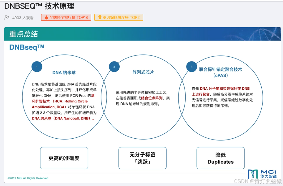 【bioinfo】DNBSEQ测序原理/Barcode/index hopping-CSDN博客