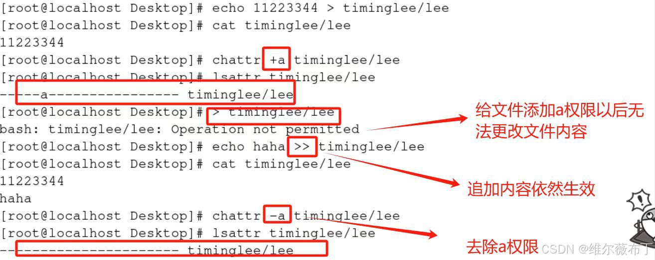 一口气学完Linux基础（二） ——attr权限与进程管理_linux attr-CSDN博客