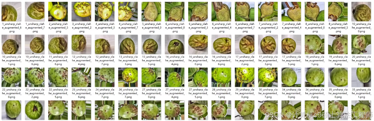 如何训练使用——番石榴病虫害检测数据集 使用这个预处理过番石榴图像数据集进行yolov8模型的训练，使用python和ultralytics库来实现 Csdn博客