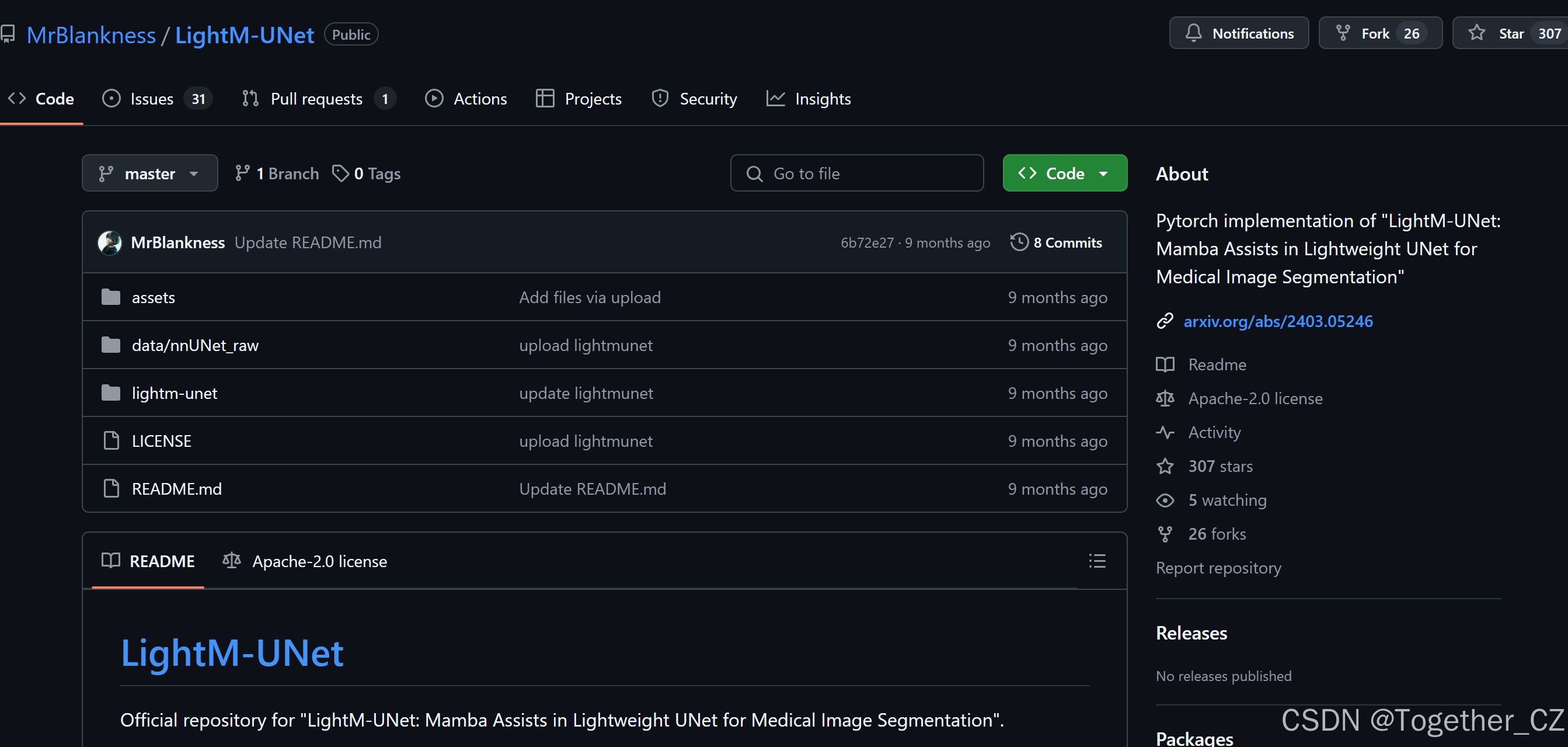 LightM-UNet: Mamba Assists in LightweightUNet for Medical Image ...