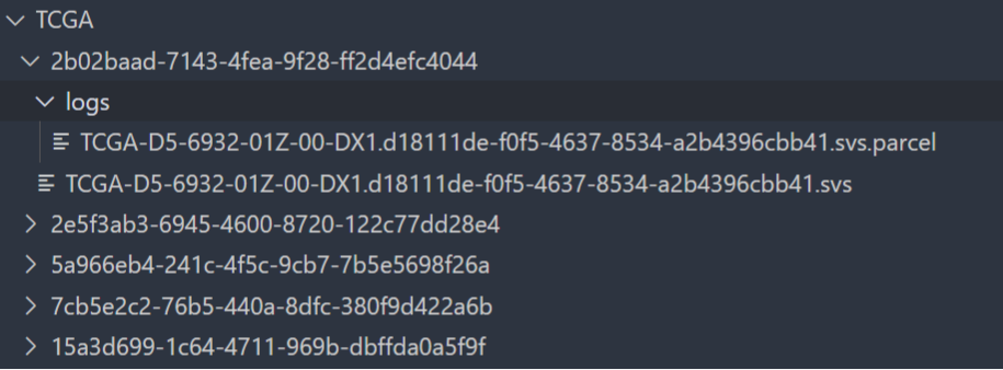 【Medical AI】TCGA病理全图（WSI）数据下载指南_tcga病理图像下载-CSDN博客