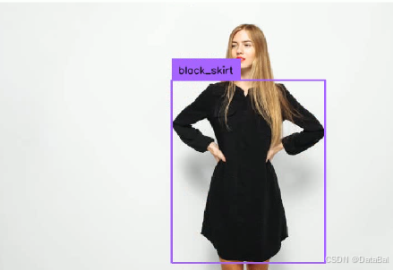 数据集-目标检测系列- 黑色裙子 检测数据集 black_skirt ＞＞ DataBall-CSDN博客