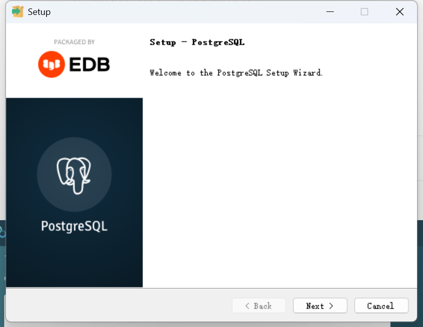 PostgreSQL 在Windows下保姆级图文安装教程_windows pgsql-CSDN博客